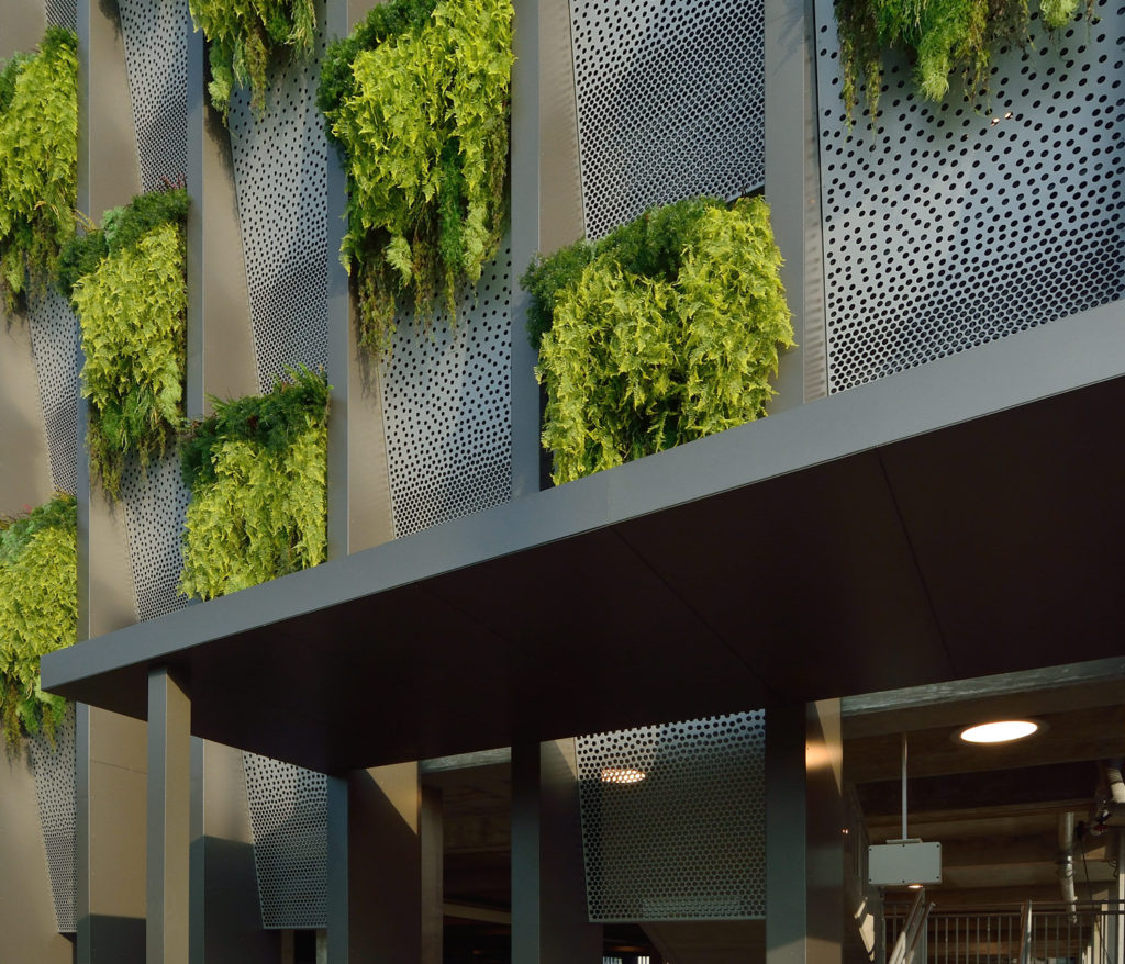 Parking Garage | SSM Ventures, Inc.